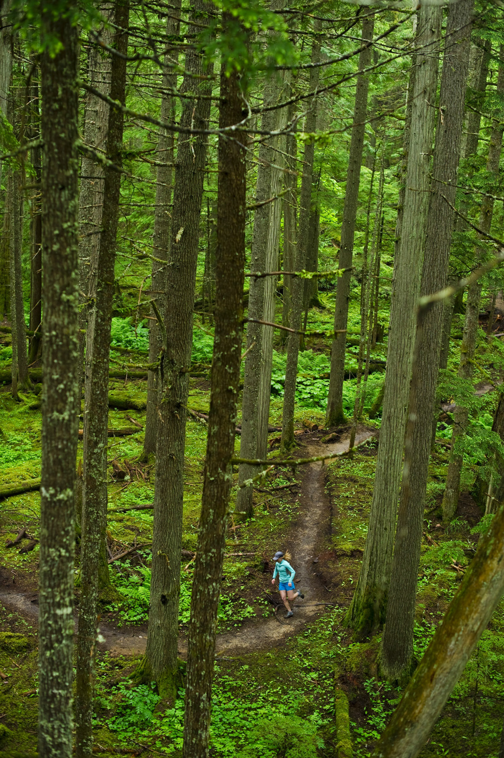 MT. MACPHERSON TRAILS - Kootenay Rockies Imagebank